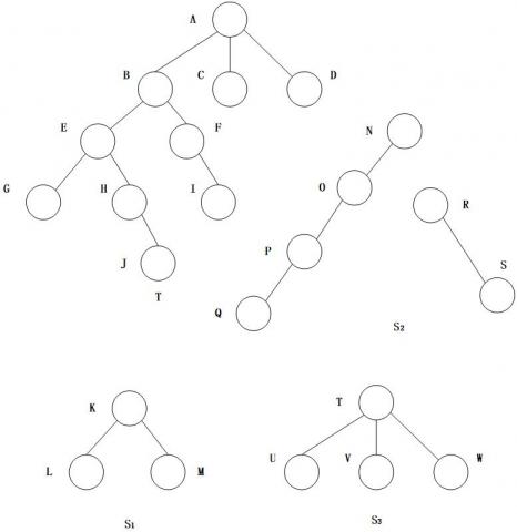 Frequent Subtree Mining Algorithm for Ribonucleic Acid Topological ...