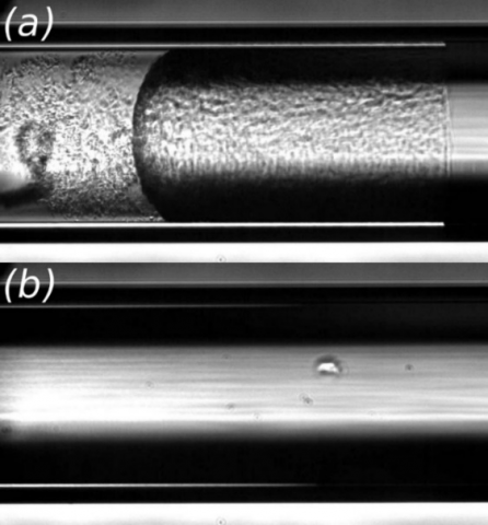 Small But Powerful Optically: Glass Microcapillaries for Studying ...