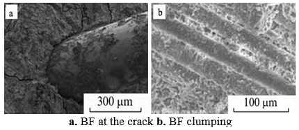 Influence of Basalt Fiber on the Physical and Mechanical Properties of ...