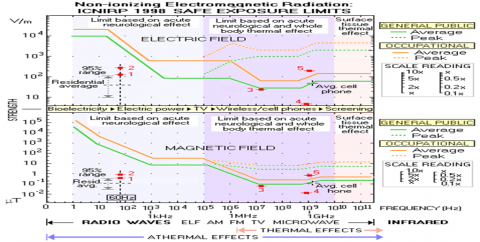 Investigation of the Effect of Electromagnetic Radiation on Human ...