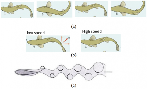 2D Numerical Study of Heat Transfer Enhancement Using Fish-Tail ...