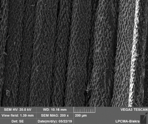 Effect of the Varying Percentage Diss Fiber on Mechanical Behaviour of ...