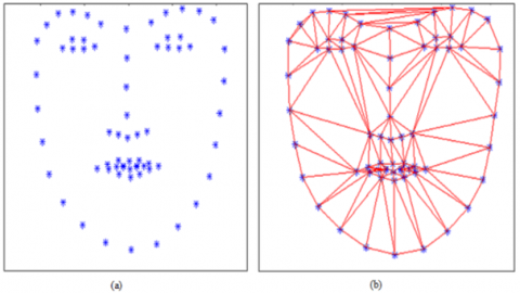 Facial Expressions Recognition Based on Delaunay Triangulation of ...
