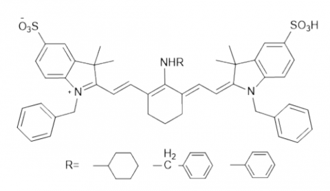 Advances on Structural Modification and Applications of Heptamethine ...