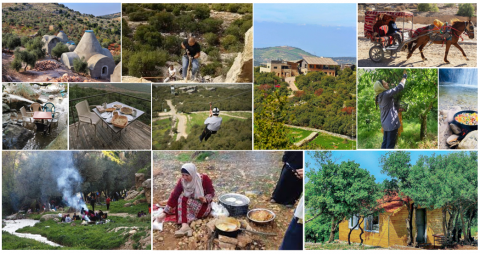 Agritourism-A Sustainable Approach to the Development of Rural ...