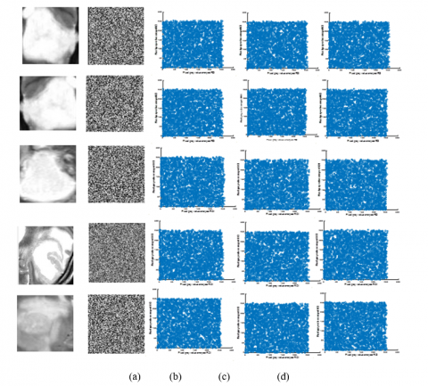 Selective Medical Image Encryption Using Polynomial-Based Secret Image Sharing and Chaotic Map ...