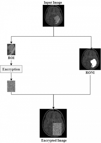 Selective Medical Image Encryption Using Polynomial-Based Secret Image Sharing and Chaotic Map ...
