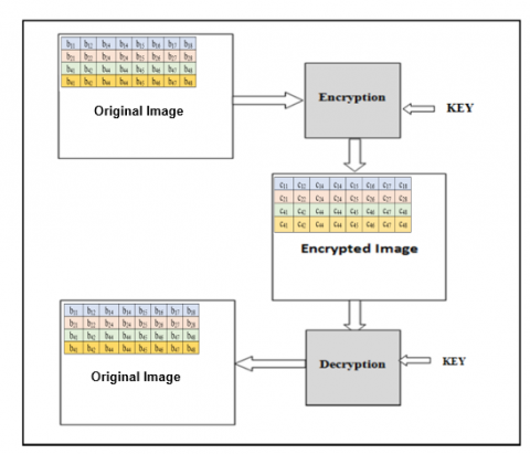 Selective Medical Image Encryption Using Polynomial-Based Secret Image Sharing and Chaotic Map ...