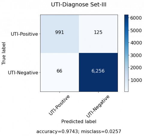 Explainable Artificial Intelligence (XAI) Model for the Diagnosis of ...