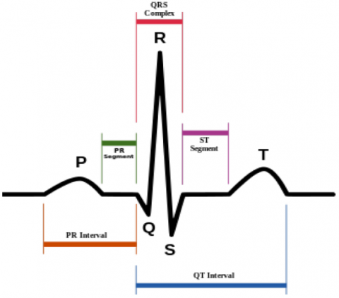 Continuous Heartbeat Prediction Using a Face Recognition Algorithm | IIETA
