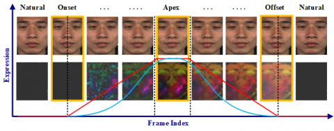Micro-Expression Recognition by Using CNN Features with PSO Algorithm and SVM Methods | IIETA