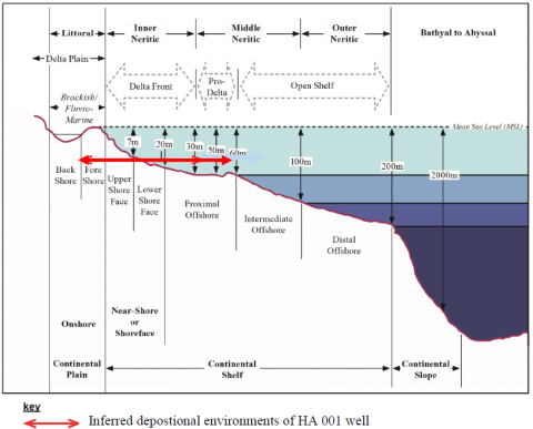 Palynofacies Analyses of HA-001 well, Offshore Depobelt, Niger Delta ...