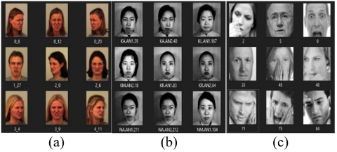 Improving Facial Expression Recognition Using HOG with SVM and Modified Datasets Classified by ...