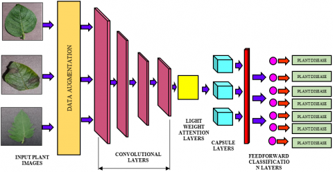 A Capsule Attention Network for Plant Disease Classification | IIETA