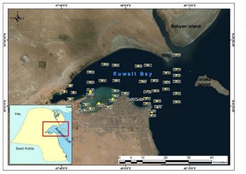 Assessing Sediment Contamination in Kuwait Bay: A Comprehensive ...