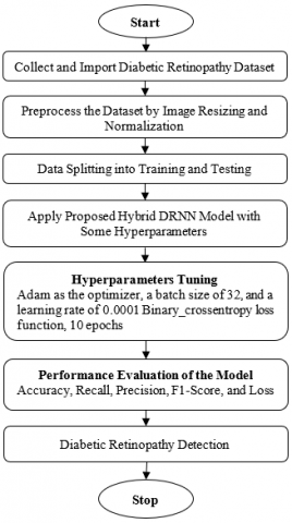 A Hybrid Diabetic Retinopathy Neural Network Model for Early Diabetic Retinopathy Detection and ...