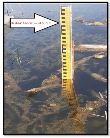 Modeling the Effects of River Training Works on the Hydraulic ...