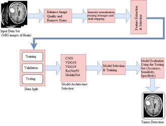 Unveiling the Hidden: Leveraging Medical Imaging Data for Enhanced ...