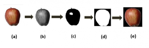 Comparative Analysis of Classical Machine Learning and Deep Learning Methods for Fruit Image ...